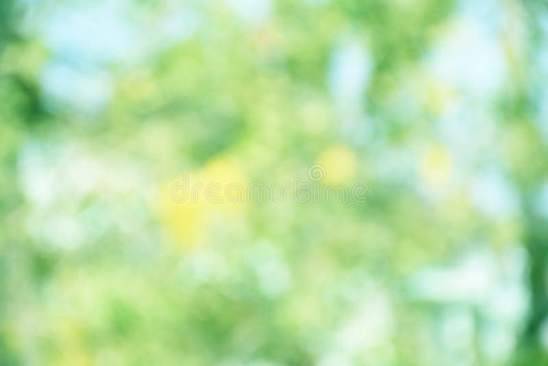 Nature Scenery with Tree Blur, Tree Blur Background, Blur Background ...