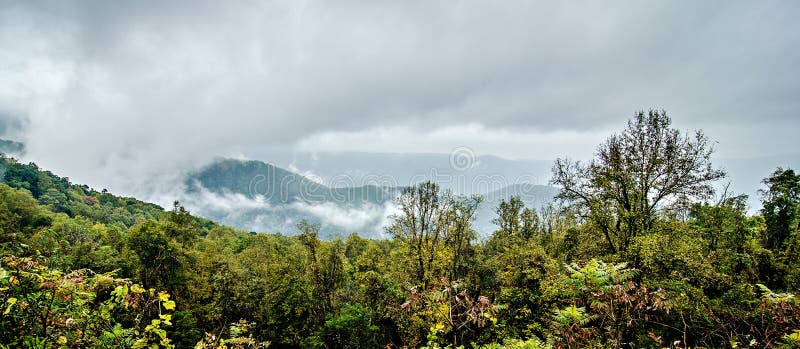 Nature Scenes on Blue Ridge Parkway Great Smoky Mountains Stock Photo ...