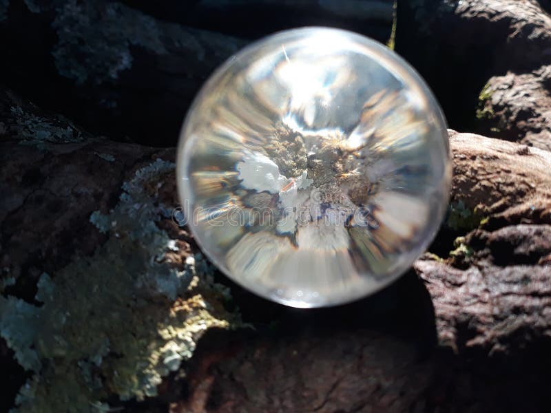 Glass sphere stock photo. Image of inverted, nature - 148021736