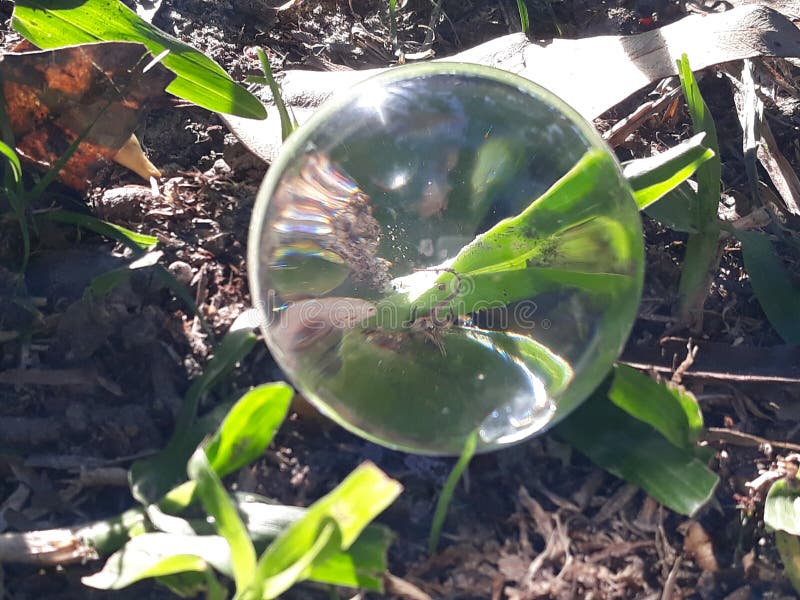 Glass sphere stock photo. Image of sphere, beautiful - 148022046