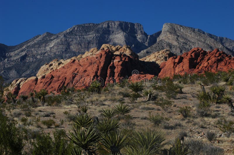 Desert Contrast stock photo. Image of cloudless, rock, landscape - 599230