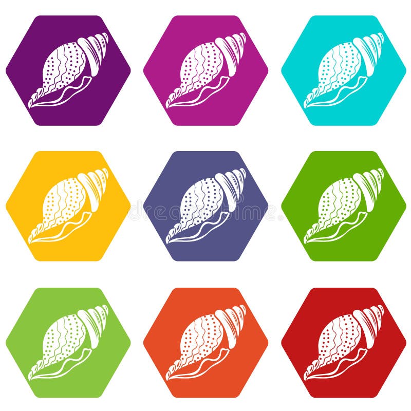 Nature Shell Icons Set 9 Vector Stock Vector - Illustration of seafood ...