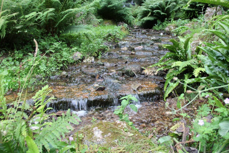 Down the Stream stock image. Image of vegetation, nature - 184481609