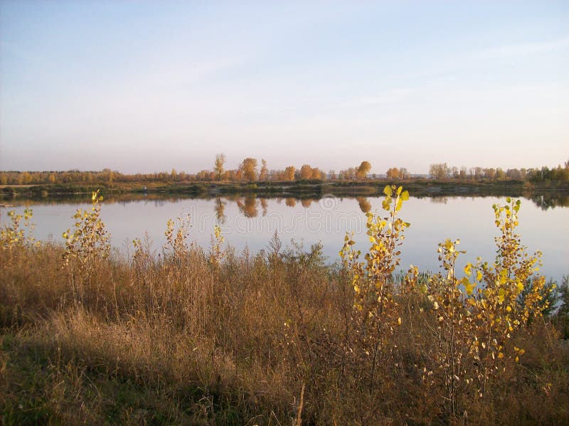 Nature stock image. Image of roses, sunday, altai, mountains - 82306663