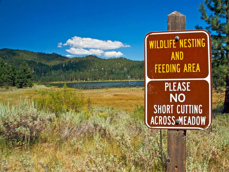 Nature Sign Picture. Image: 7918975