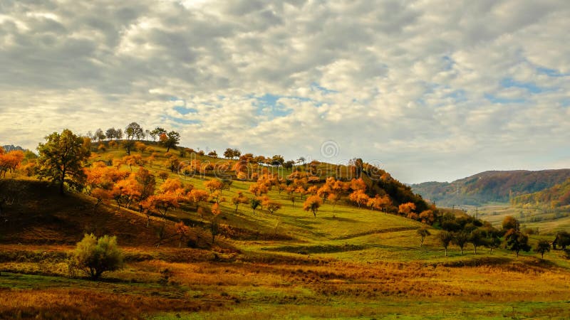 Nature simple photo stock. Image du nature, ciel, facile - 84882196