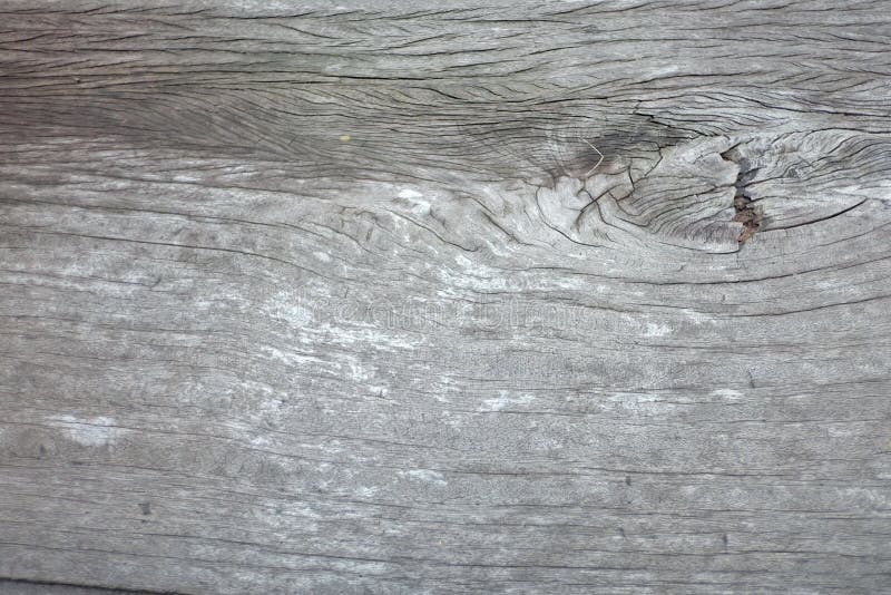 In Selective Focus Skin Pattern on an Old Wood Ground Floor Stock Photo ...