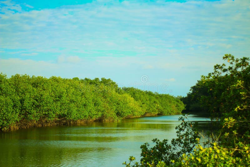 Nature, Sky, River, Vegetation Picture. Image: 136290346