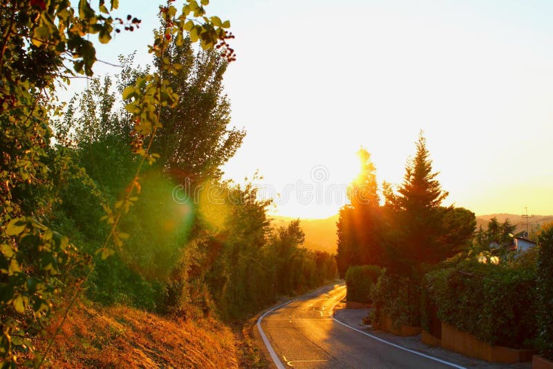 Nature, Sky, Road, Morning Picture. Image: 100835356