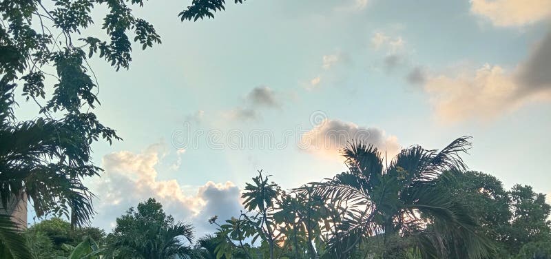 Nature Sky Sunset Aesthetic Stock Image - Image of grass, tree: 220551371