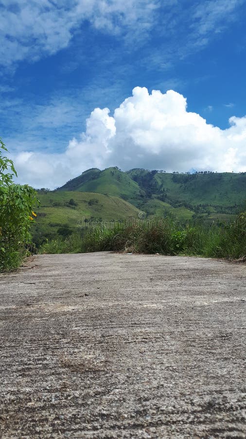 Nature sky sweet green stock photo. Image of plant, mountain - 222732710