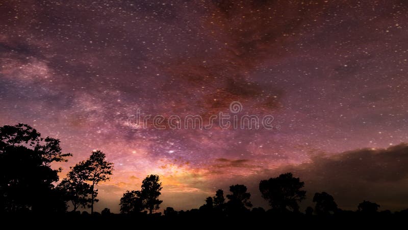 Nature Sky Tree Background of Stars Stock Image - Image of light, scene ...