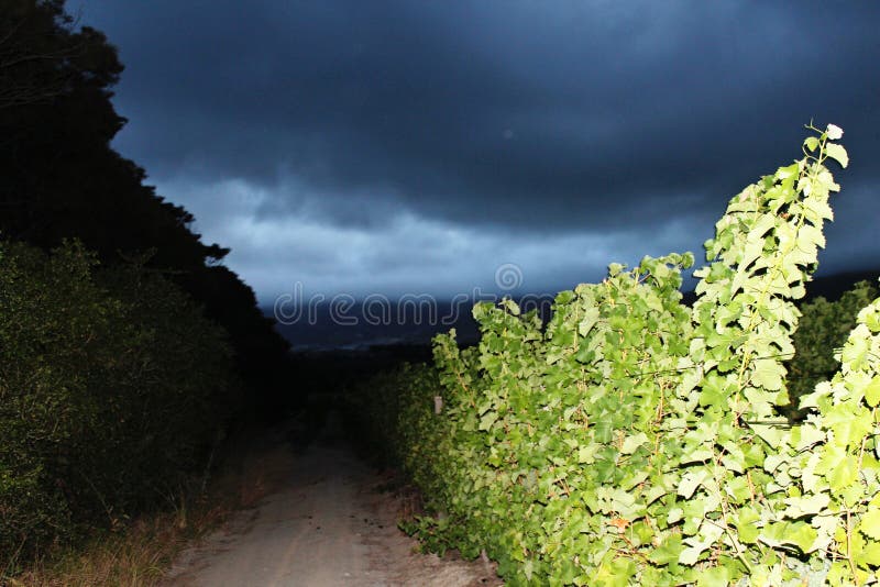 Nature skyline dawn stock image. Image of cloud, nature - 189169323