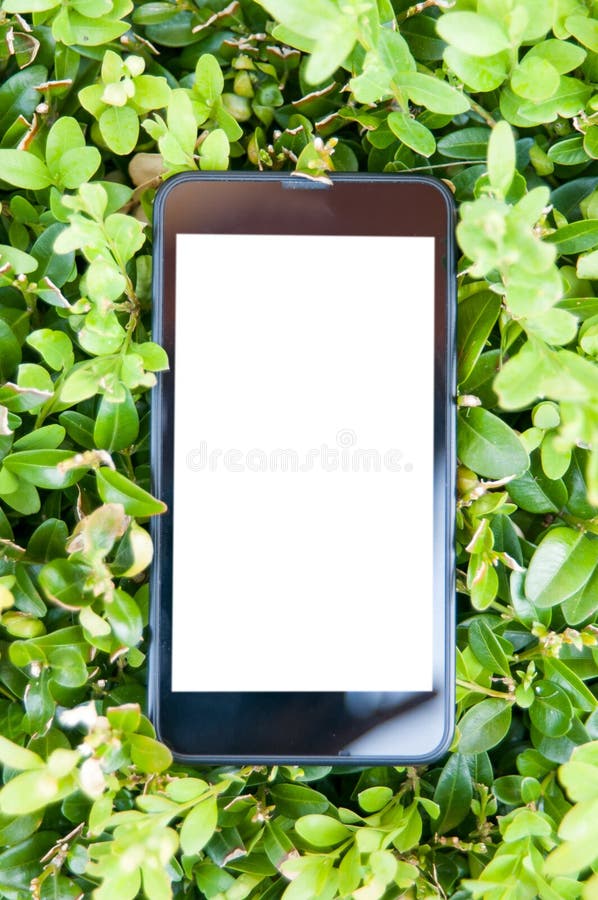 Nature smart phone stock image. Image of green, decor - 55306187