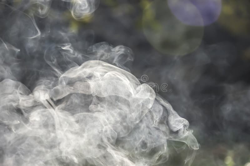 Nature Smoke from the Fire Photo Stock Image - Image of fire ...