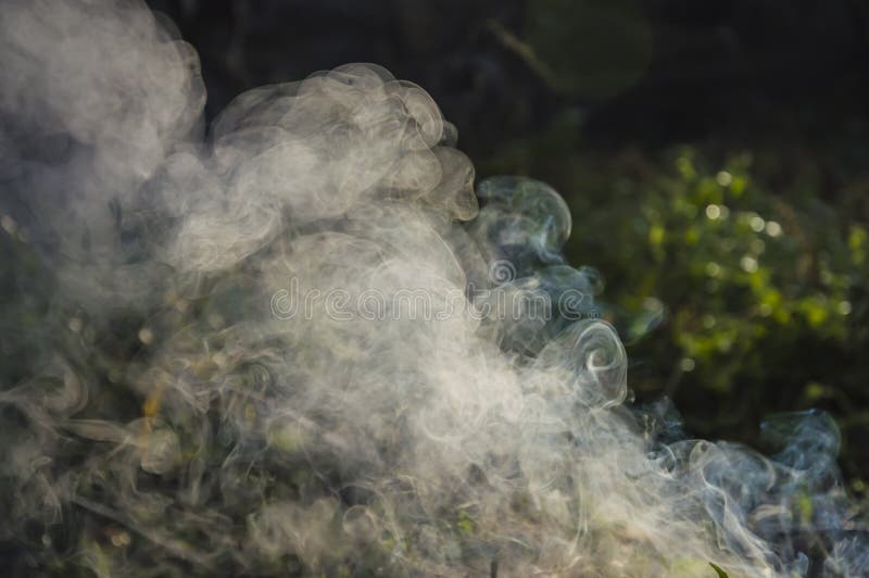 Nature Smoke from the Fire Photo Stock Image - Image of nature, forest ...