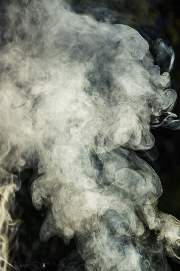 202 Nature Backgroundbackground Stock Photos - Free & Royalty-Free ...