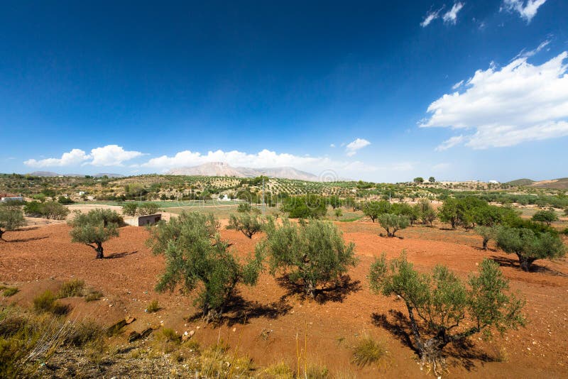 Nature of Spain, Rural Landscape Stock Image - Image of view, spain ...