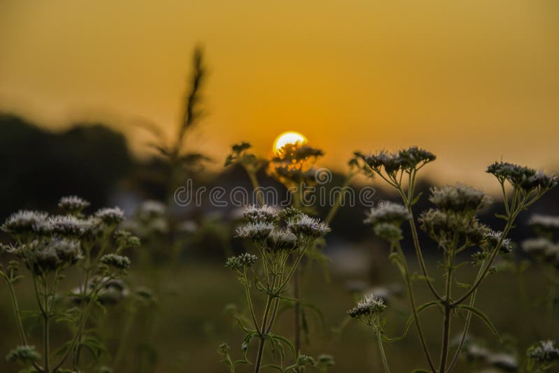 Nature stock photo. Image of desolate, meadow, mountain - 101402730