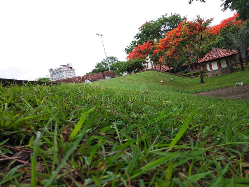 Nature spotting stock image. Image of beauty, green - 120115175