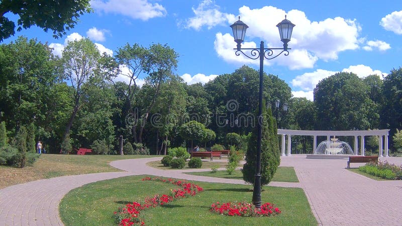 Nature in Spring in the Park Stock Footage - Video of green, nature ...