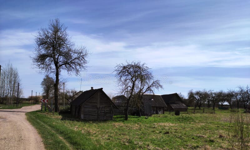 Nature in Spring in the Park Stock Photo - Image of beauty, lawn: 247560916