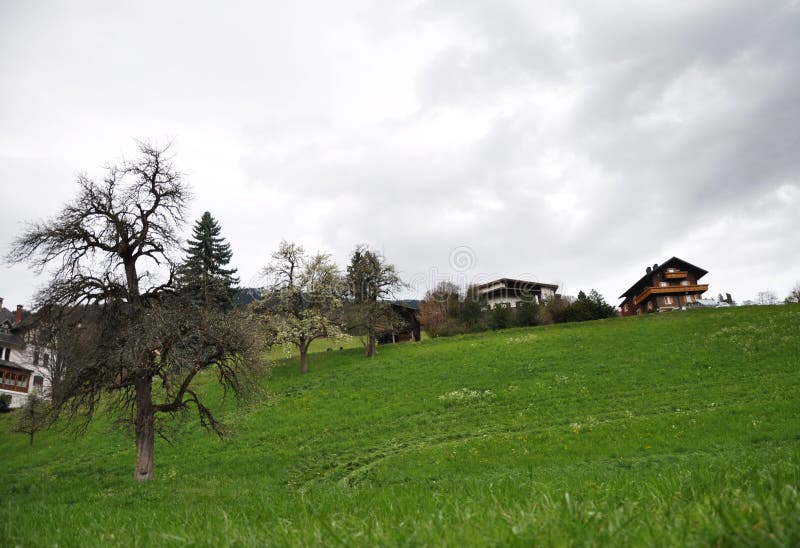 Blooming Trees - Welcome April Stock Photo - Image of spring, grassland ...