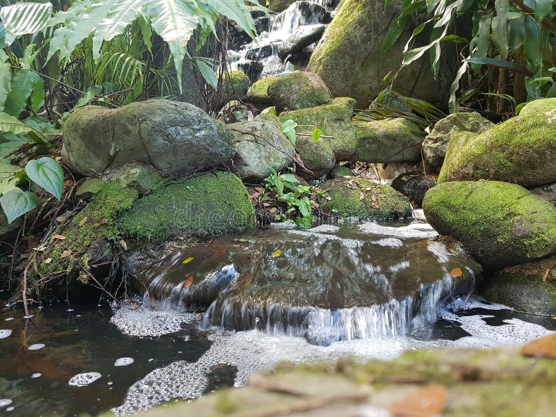Nature spring stock photo. Image of nature, jamaica, spring - 86636508