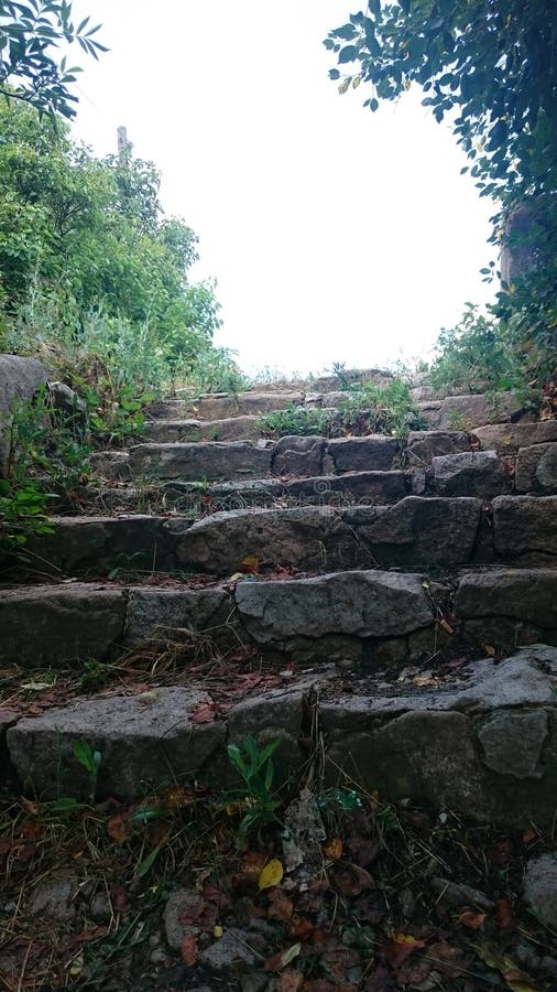 Nature stairs stock photo. Image of sunny, stone, stairs - 56703548