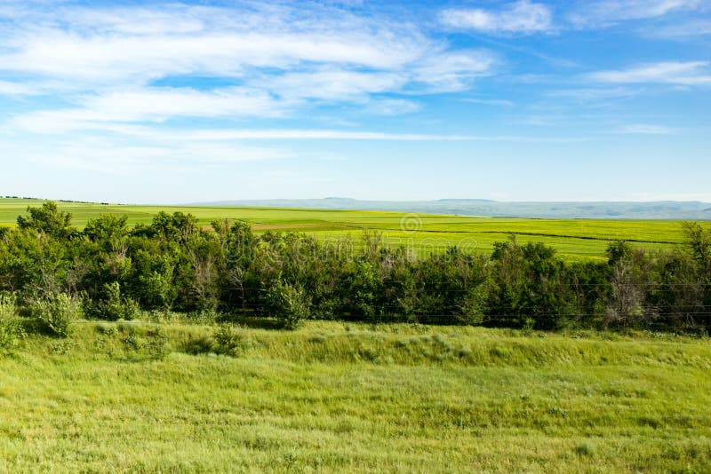 Nature in the Steppe of Kazakhstan in the Spring Stock Photo - Image of ...
