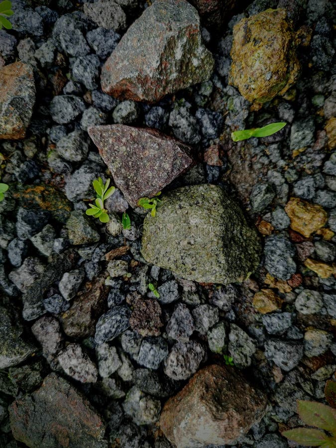 Nature Stone Rock Aesthetic Stock Photo - Image of rock, stone: 263995994