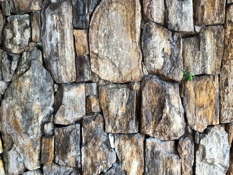 Nature Stone Walls Textures Stock Image - Image of soil, wood: 363643473