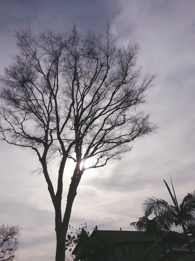 Nature stop stock image. Image of city, stop, buildings - 109049975