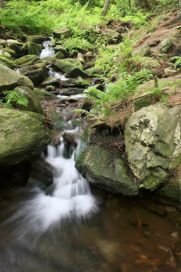 Nature stream stock photo. Image of plants, flowing, water - 6425234