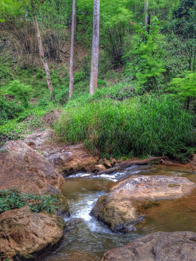 Nature Stream stock image. Image of nature, waterfall - 53865565