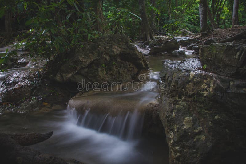 Nature Stream in wood stock image. Image of stream, tone - 118081917