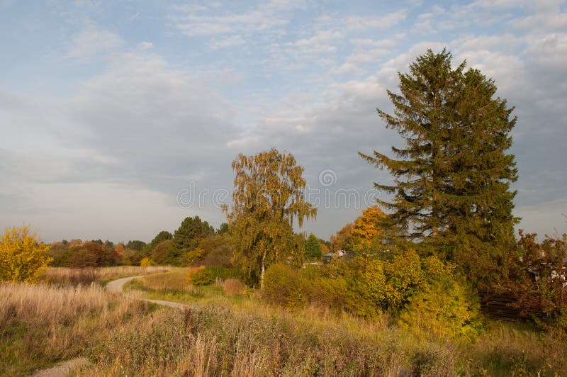 Nature in the Suburbs of Copenhagen Stock Photo - Image of herlev ...