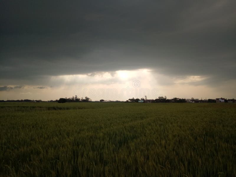 Nature stock photo. Image of clicked, suddenly, nature - 88352310