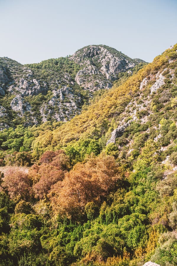 Nature Summer Background with Blue Sky, Mountain and Trees Stock Photo ...