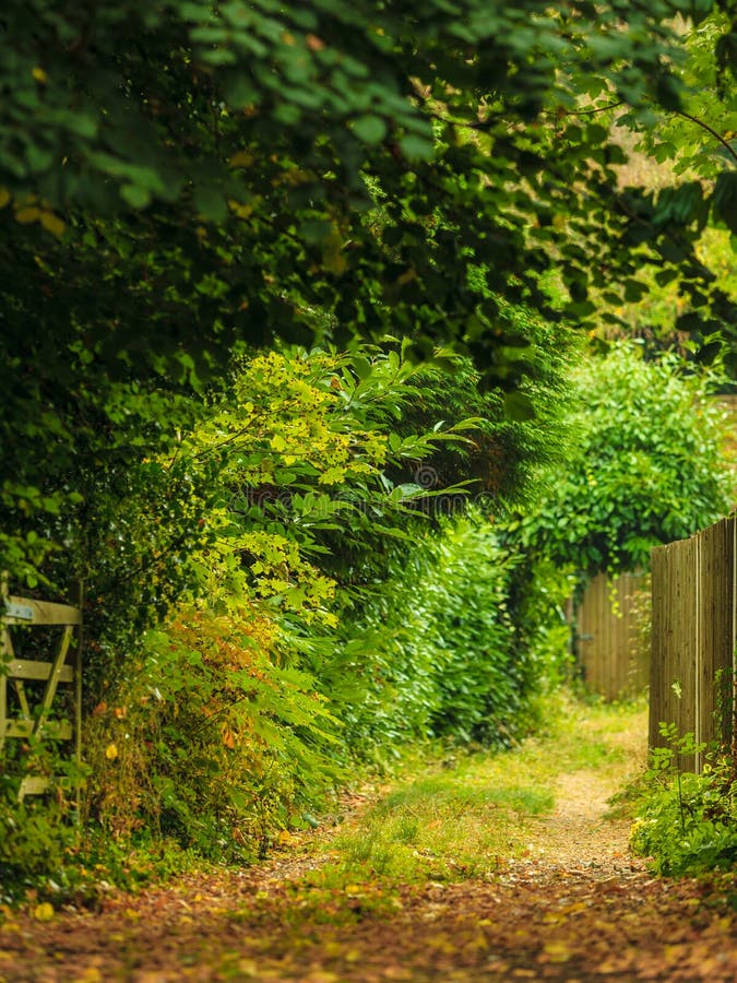 Summer Rustic Scenic Wallpaper