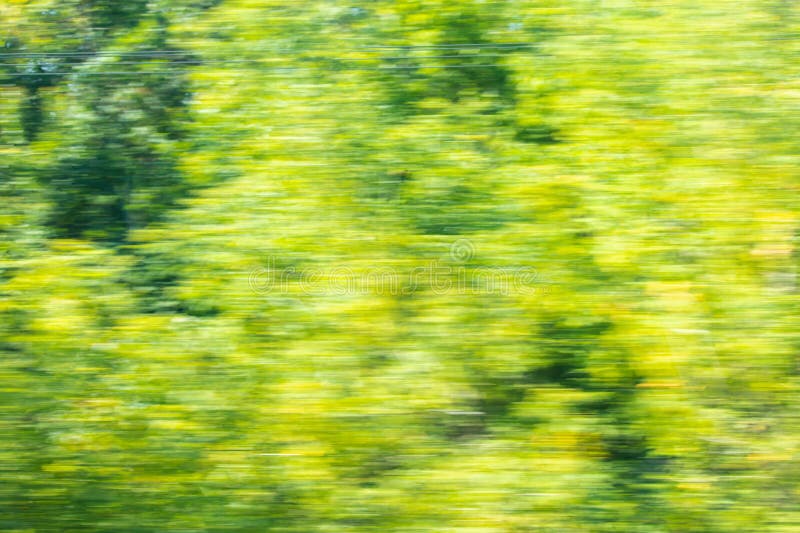 Nature in Summer at Speed. View from the Train Window Stock Image ...