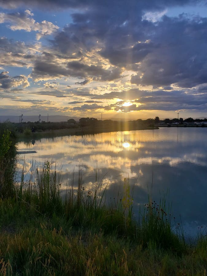 The brighter side stock image. Image of freezing, leaf - 255024351