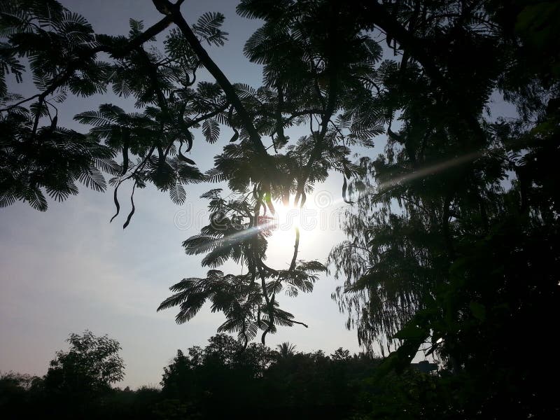 Nature stock photo. Image of reflects, beautifully, daylight - 126994770