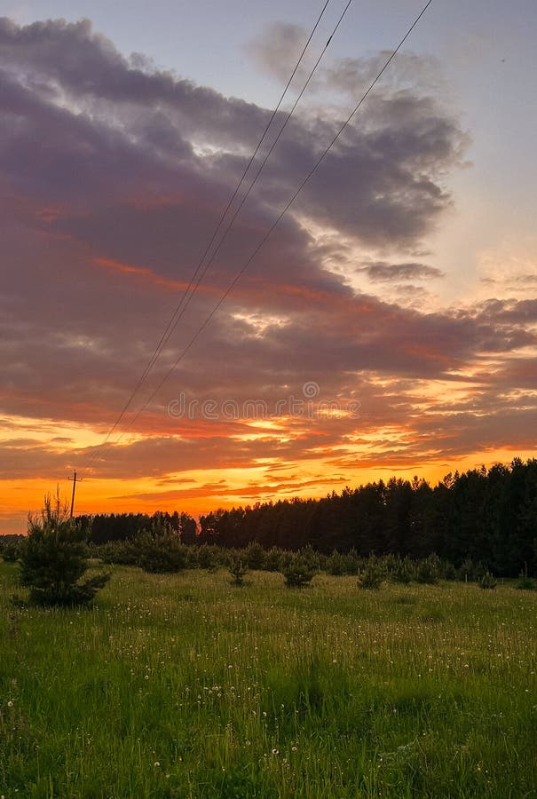 Nature, Sunset on the Background of Fields and Forests in the Distance ...