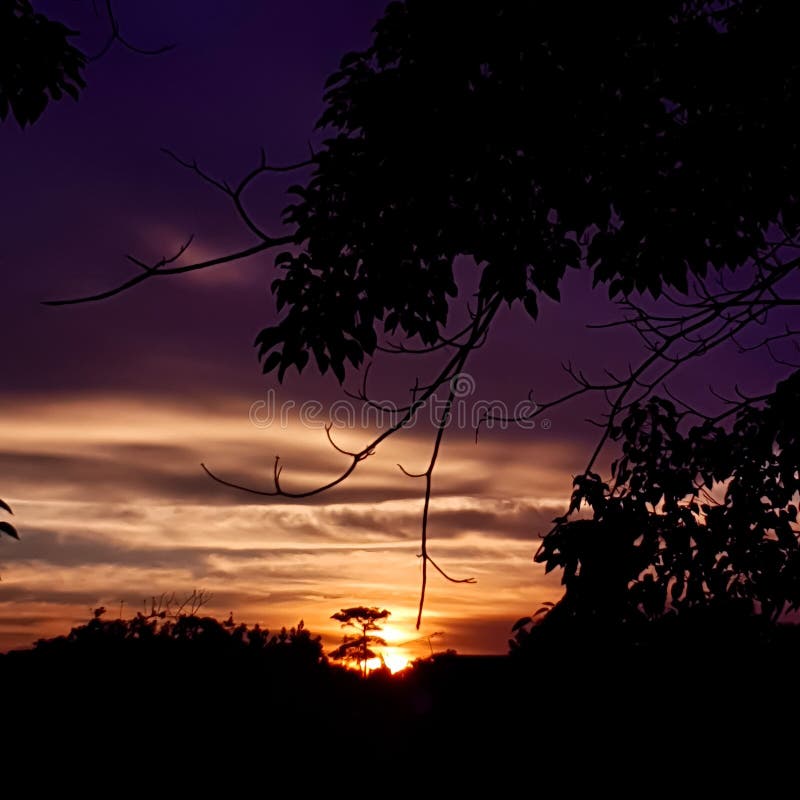 A Nature Sunset Behind the Tree Stock Photo - Image of sunset, nature ...