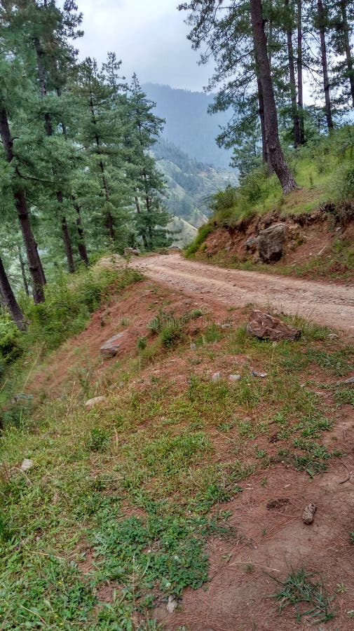 Nature Super Stunning Views Shimla Hills Stock Photo - Image of green ...