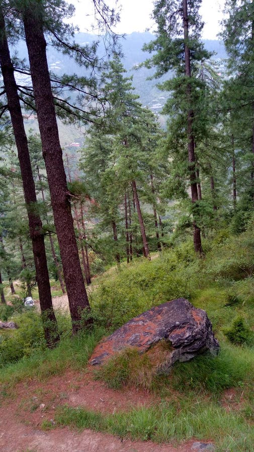 Nature Super Stunning Views Shimla Hills Stock Photo - Image of nature ...