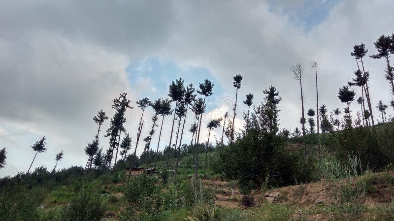 Nature Super Stunning Views Shimla Hills Stock Photo - Image of ...