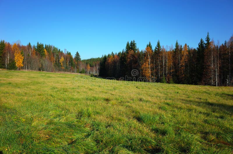 Nature of Sweden in Autumn, Calm Lake with Wooden Bridge Stock Photo ...