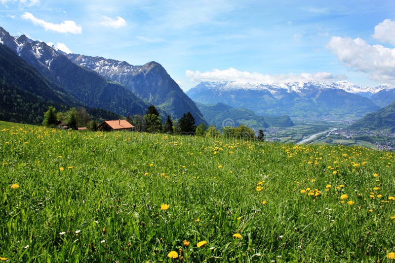 Nature in Switzerland stock photo. Image of spring, field - 86591858